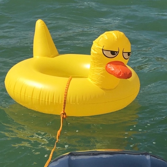 Big Mouth | Other | New Social Distancing Giant Duck Pool Float | Poshmark